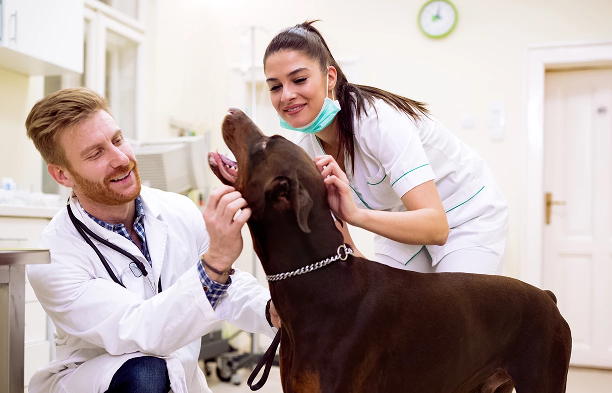 American College of Veterinary Emergency & Critical Care
