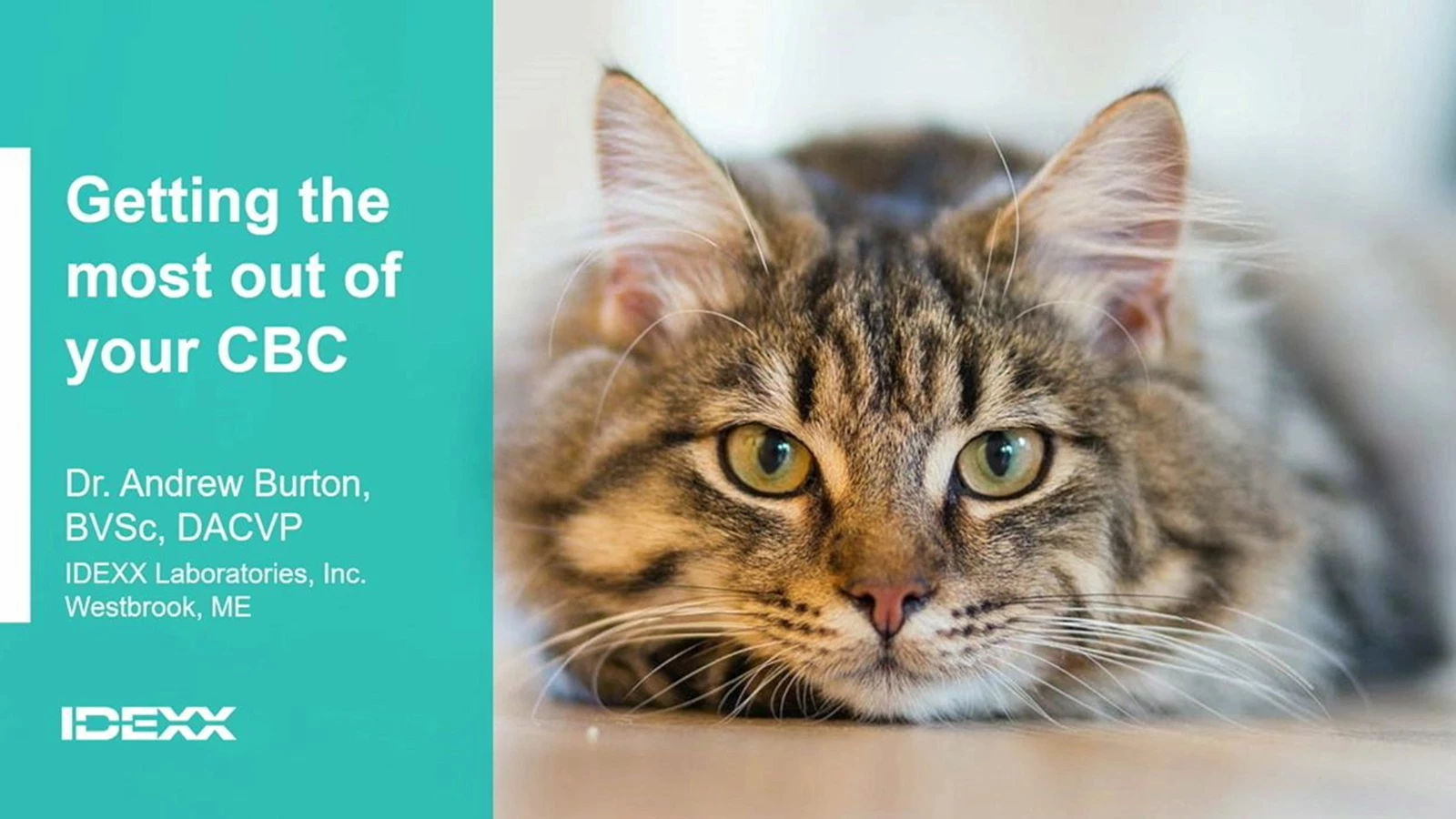 Veterinary Emergency and Critical Care Society